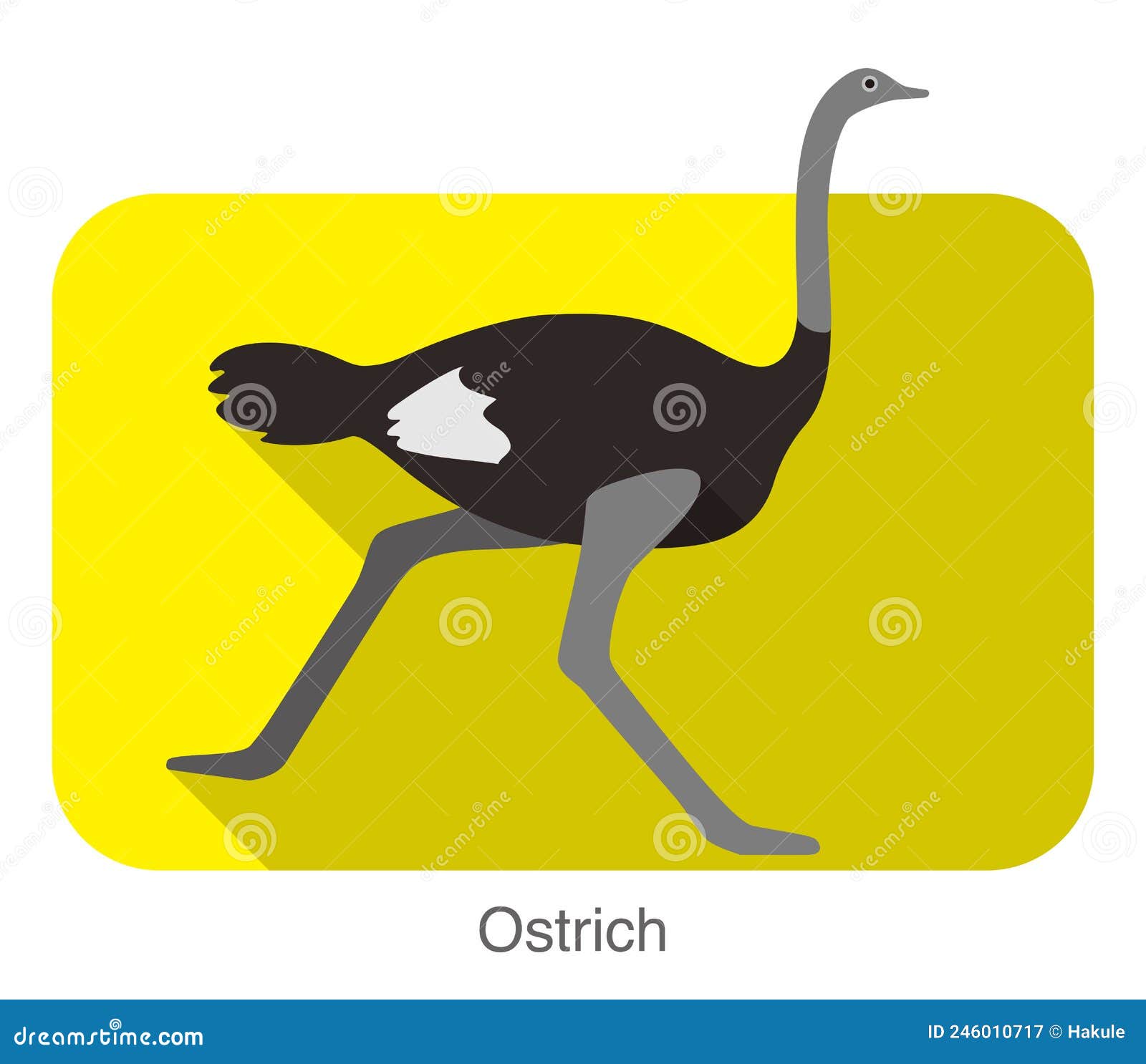 Ostrich Running, Animal Body Series, Vector Stock Vector - Illustration ...