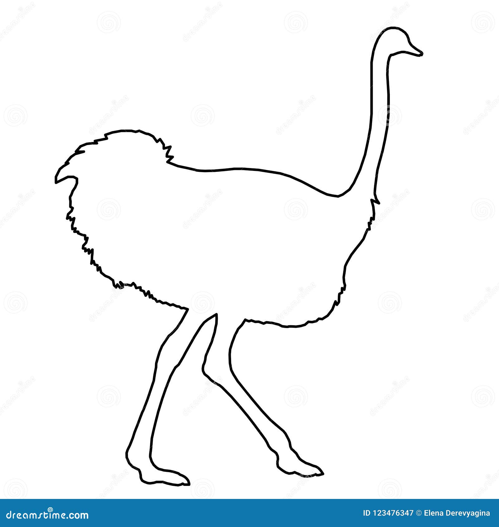 Ostrich Running of Black Contour Curves on White Background. Vector ...