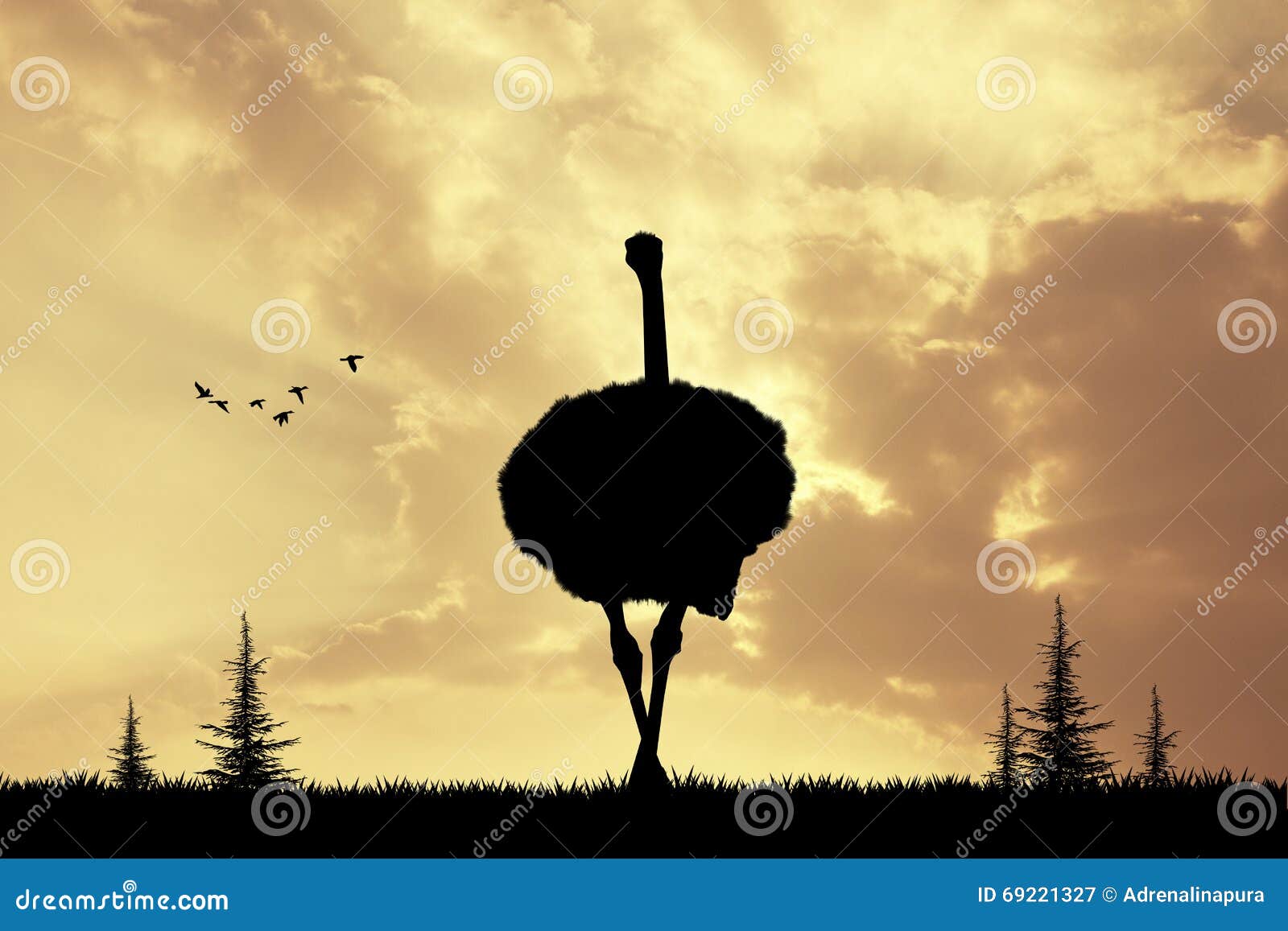 Ostrich at sunset stock illustration. Illustration of nature - 69221327
