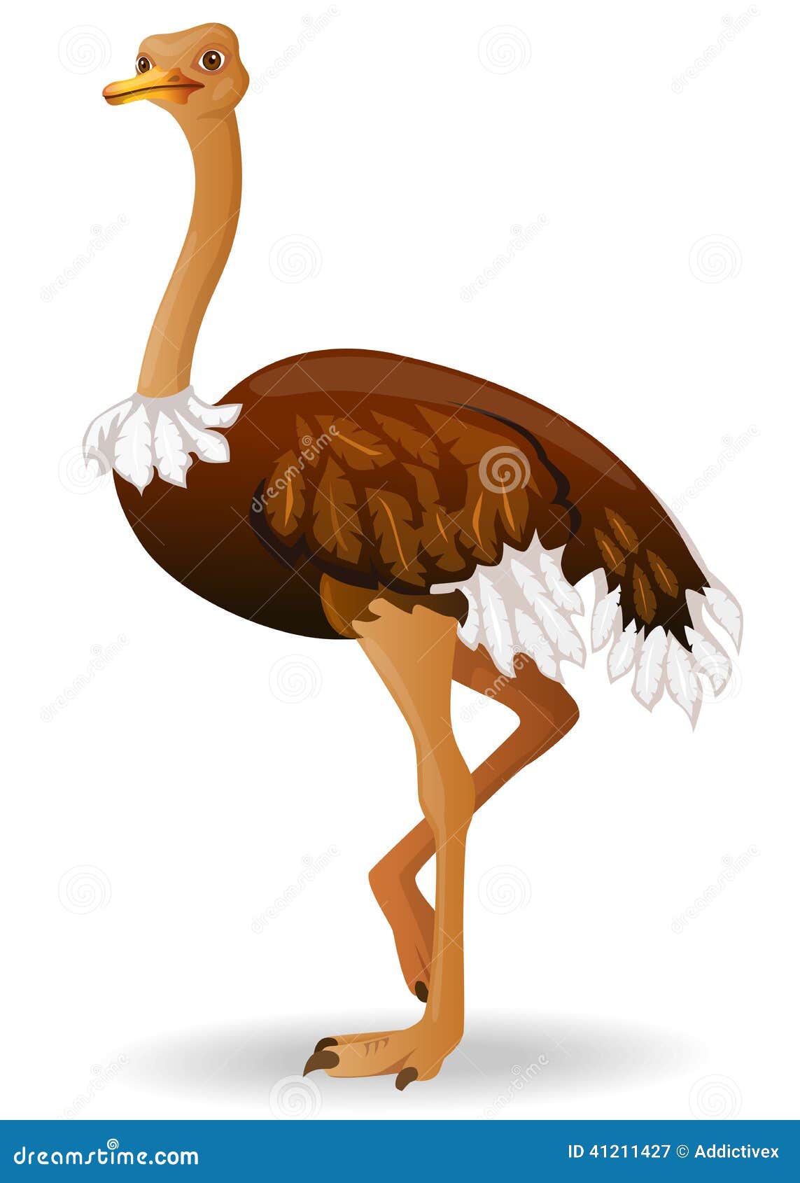 Ostrich stock vector. Illustration of animal, fastest - 41211427