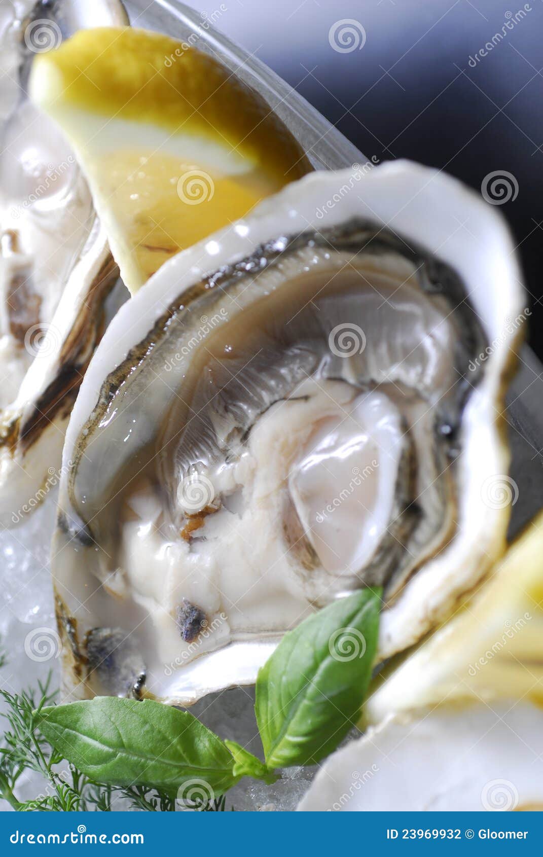 Ostron arkivfoto. Bild av afrodisiak, skaldjur, idérikt - 23969932