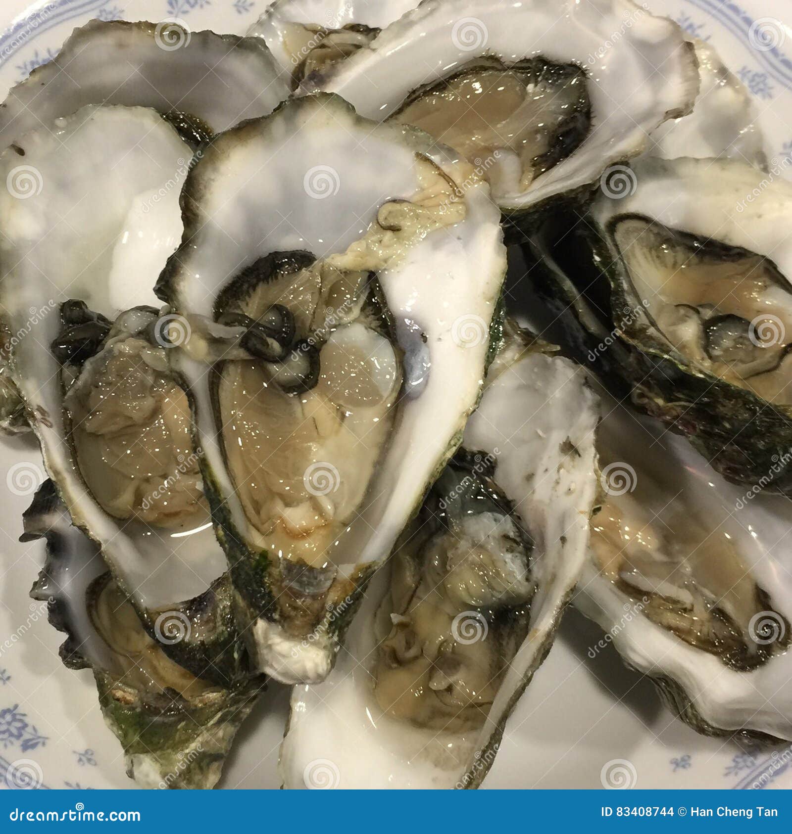 Ostron arkivfoto. Bild av matställe, skal, ostron, nytt - 83408744