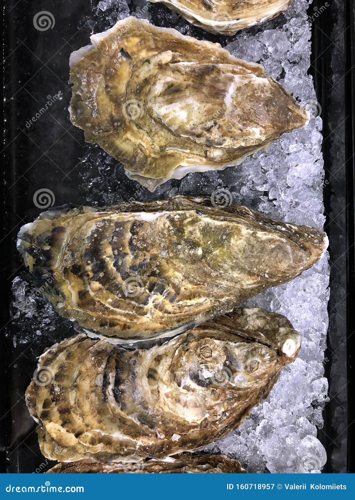 Ostron i isar fotografering för bildbyråer. Bild av äta - 160718957