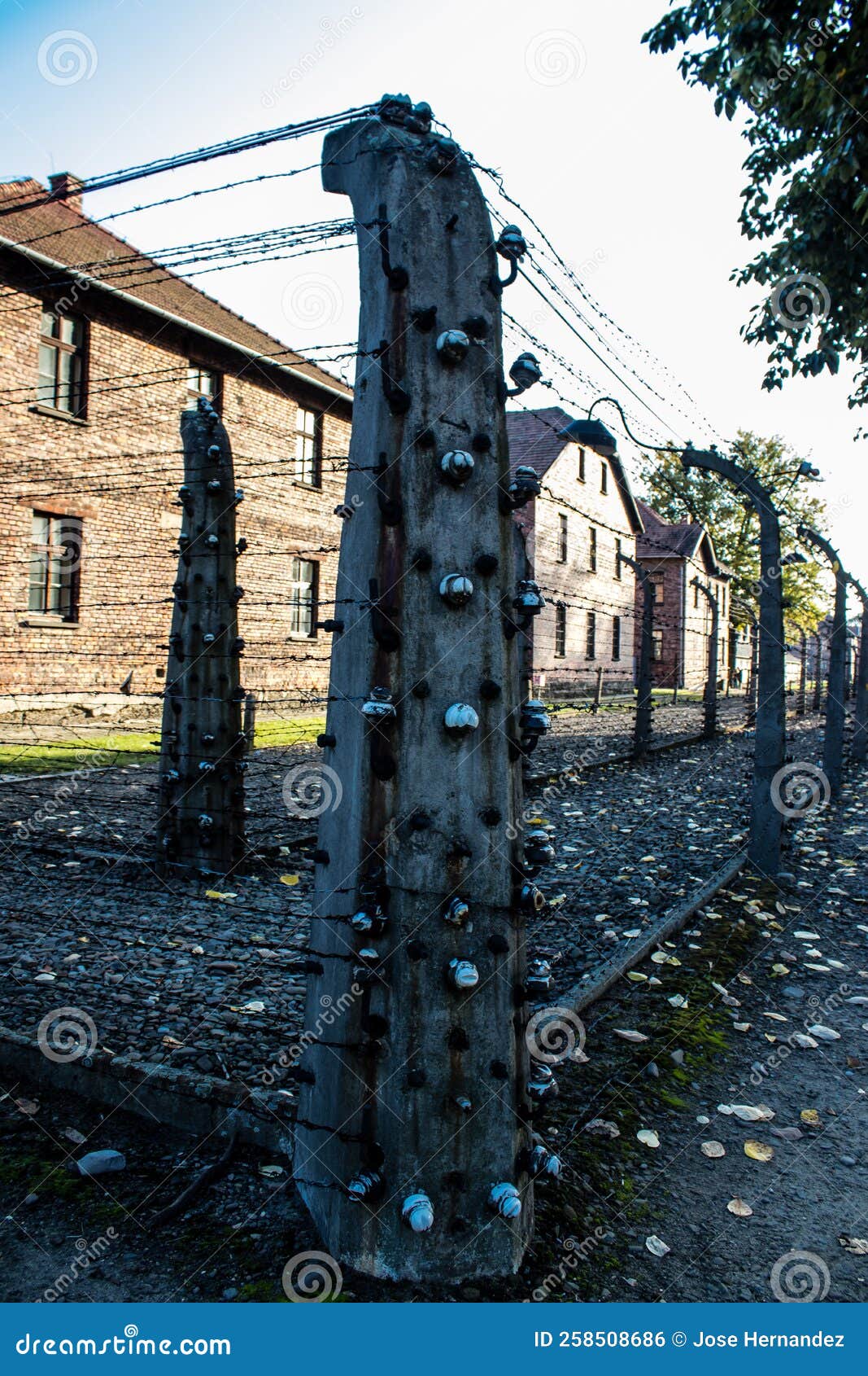 Auschwitz, the Largest Concentration Camp Complex in the Third Reich ...
