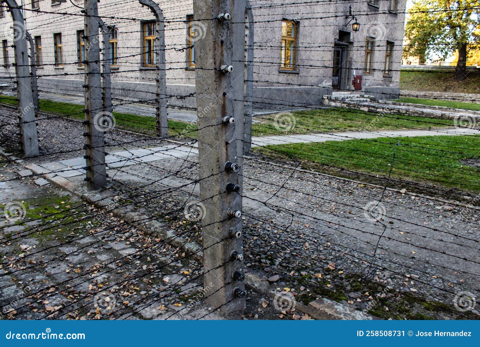 Auschwitz, the Largest Concentration Camp Complex in the Third Reich ...