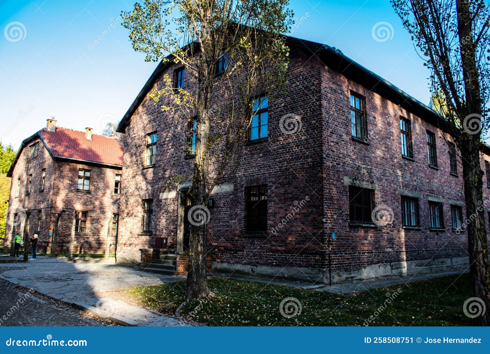 Auschwitz, the Largest Concentration Camp Complex in the Third Reich ...