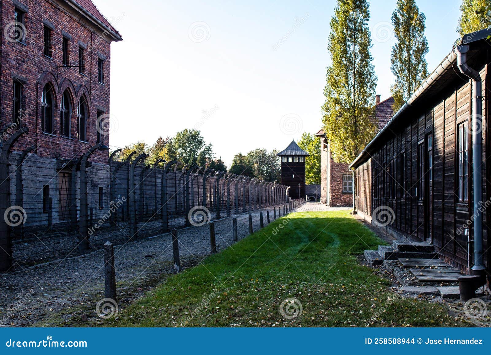 Auschwitz, the Largest Concentration Camp Complex in the Third Reich ...