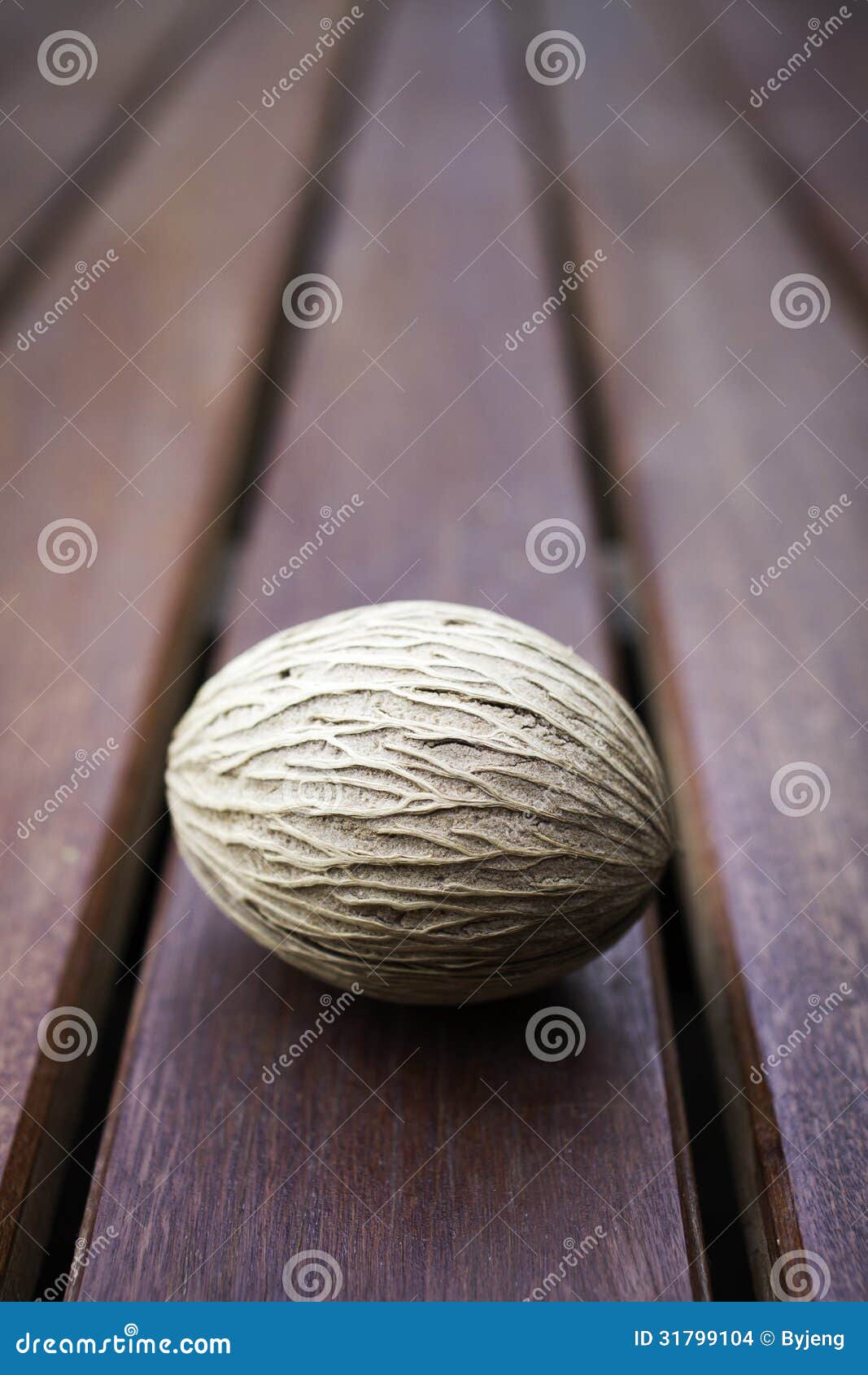 Othalanga - Suicide tree stock photo. Image of nyan, tangena - 31799104