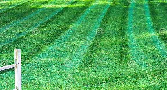 The other Side stock image. Image of landscape, grass - 69996319