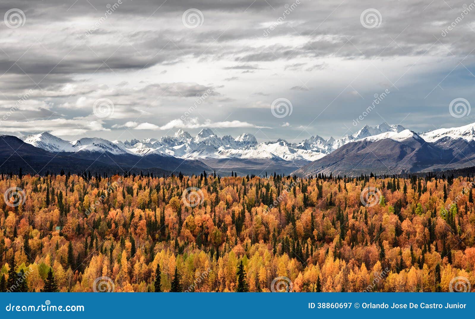 Otoños Que Comienzan En Alaska Imagen de archivo - Imagen de color ...