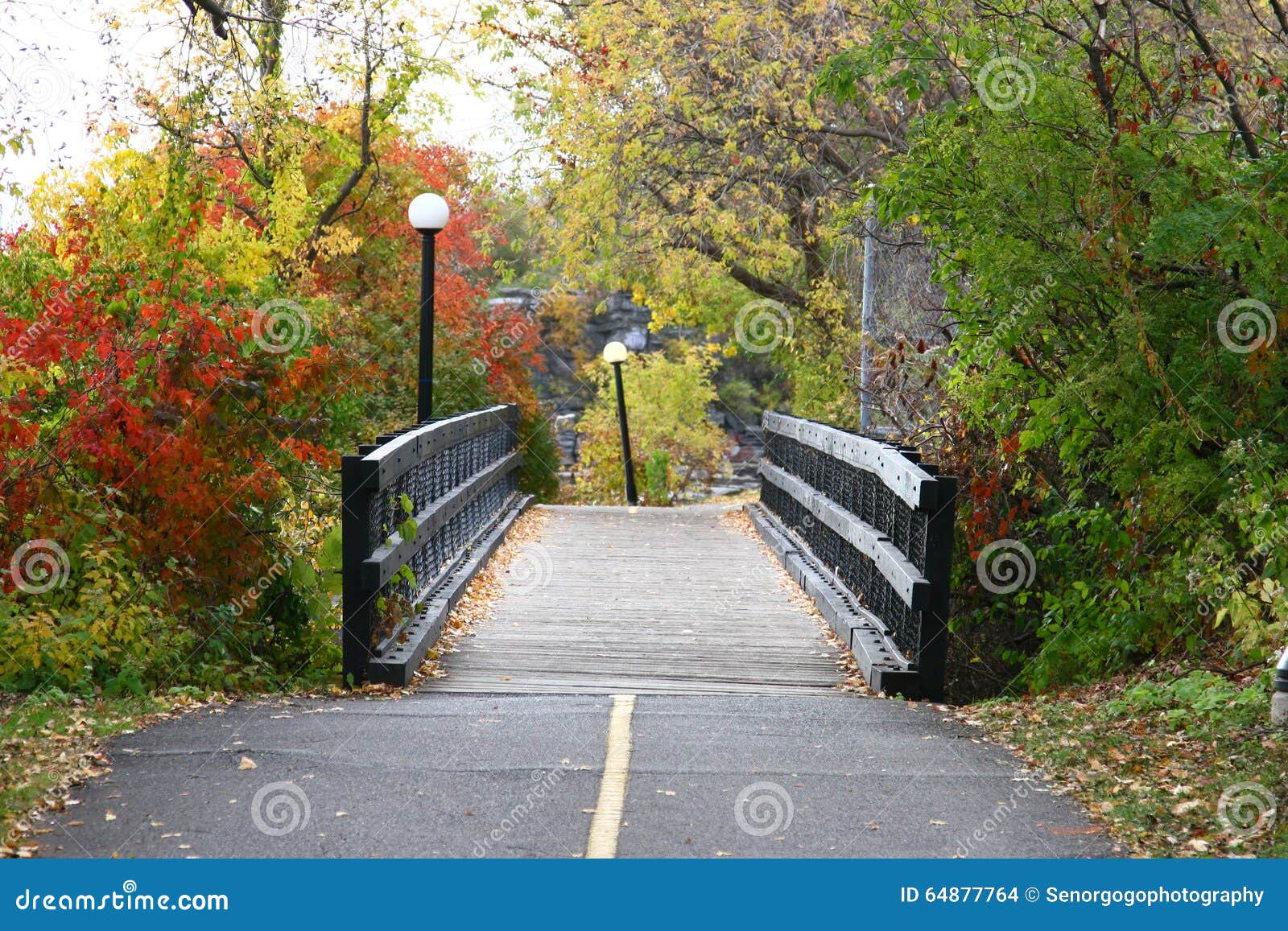 Ottawa Fall stock photo. Image of walk, trail, riverside - 64877764