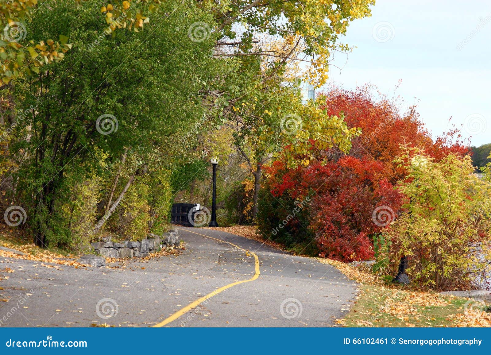 Ottawa Fall stock image. Image of road, ottawa, nature - 66102461