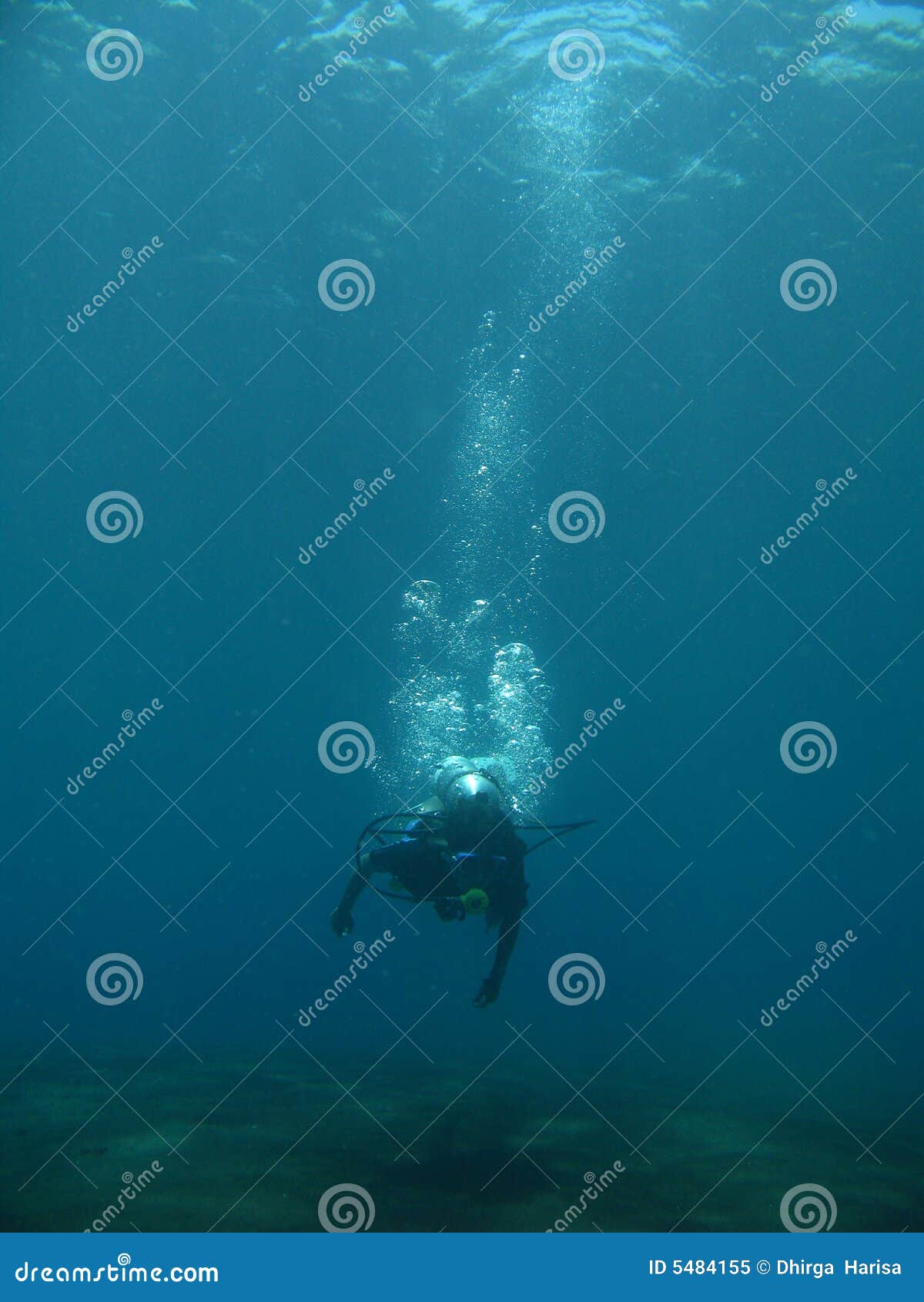 Ottenga il tuffo immagine stock. Immagine di acqua, discendere - 5484155