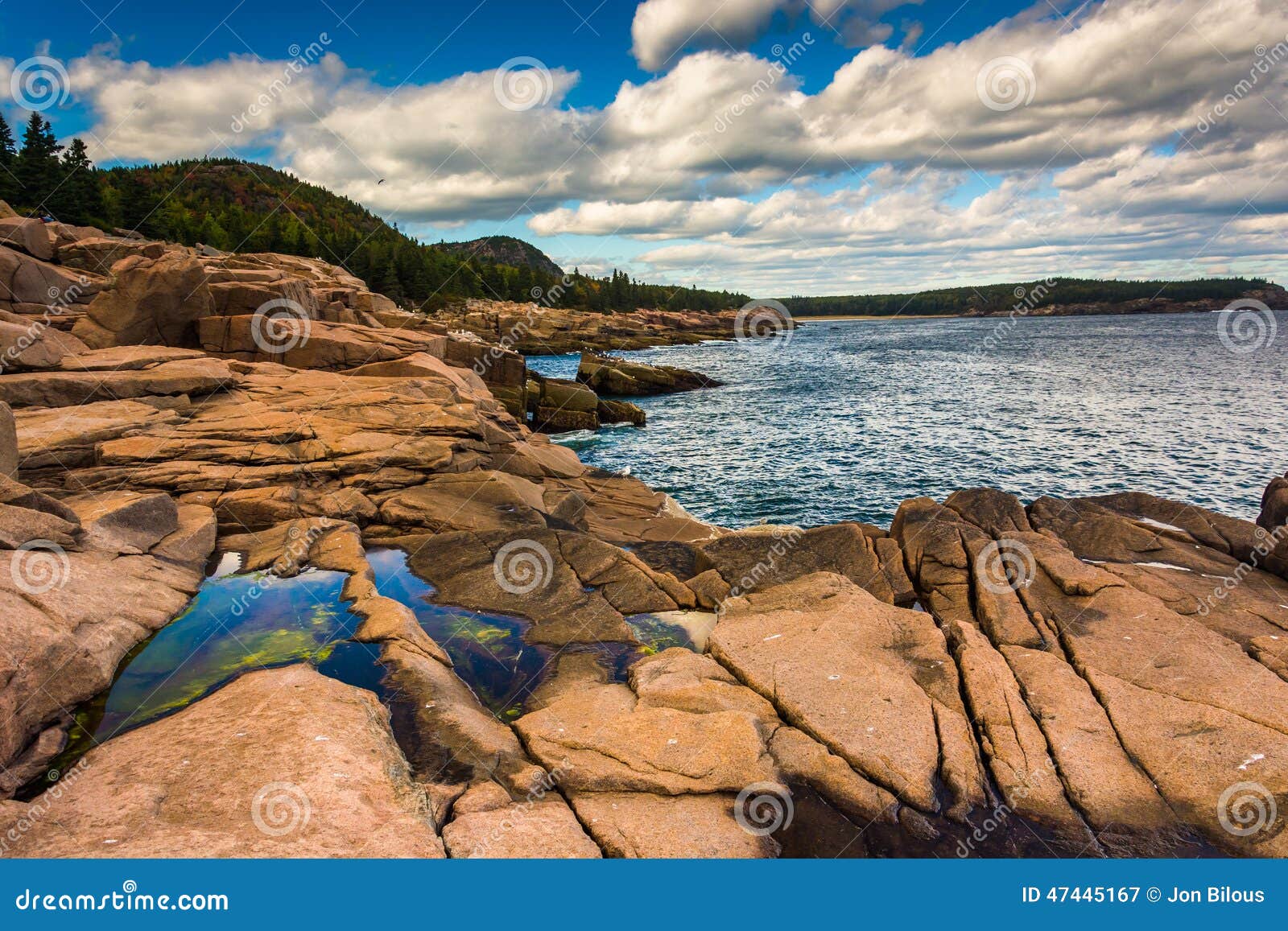 Otter Cliffs and the Atlantic Ocean in Acadia National Park, Mai Stock ...
