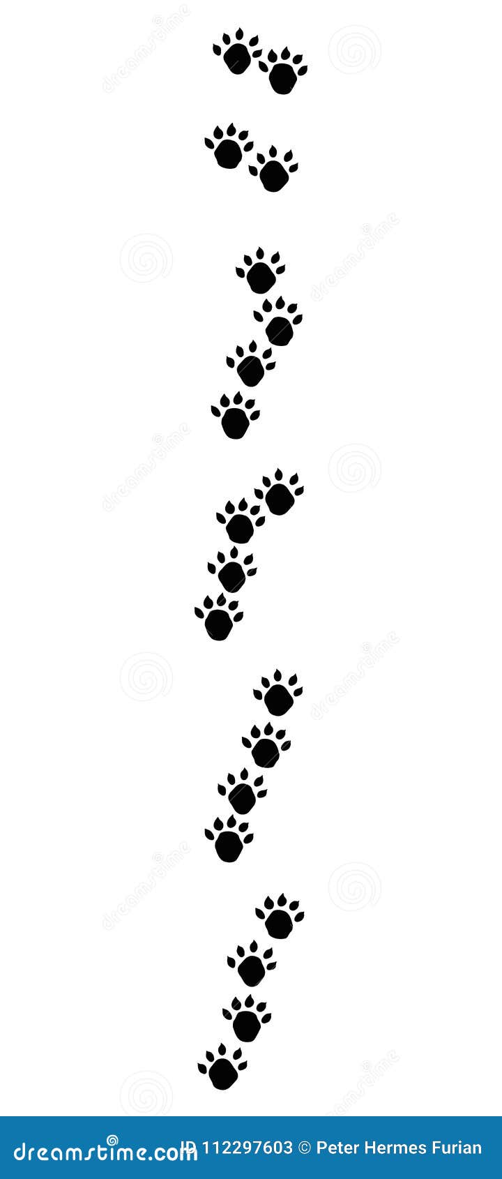 Otter Tracks Black Footprints Stock Vector - Illustration of marine ...