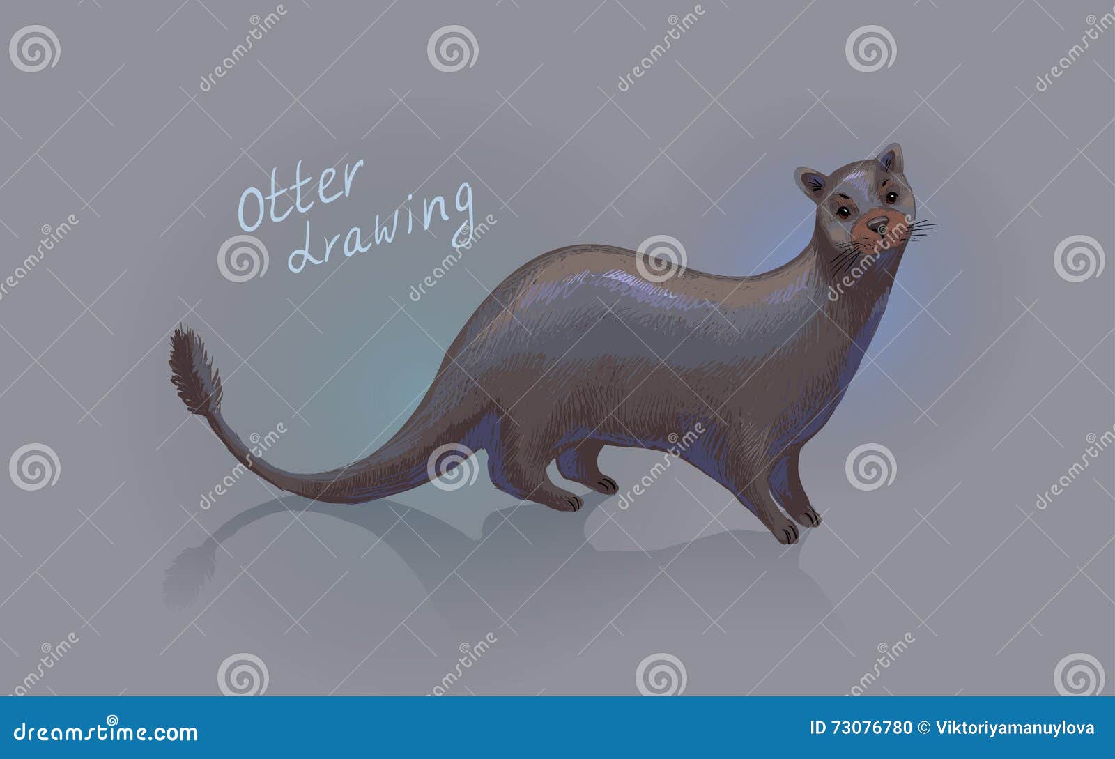 Otter. Vector Drawing. Hand-drawn Illustration. | CartoonDealer.com ...