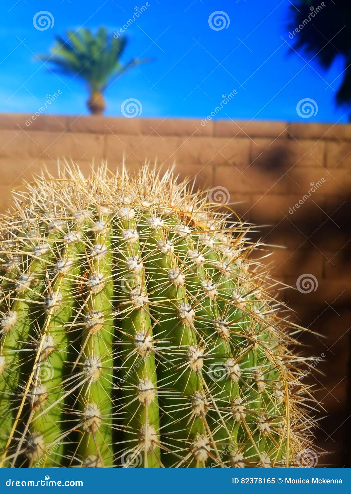 Ouch stock image. Image of phoenix, scenic, sharp, ouch - 82378165