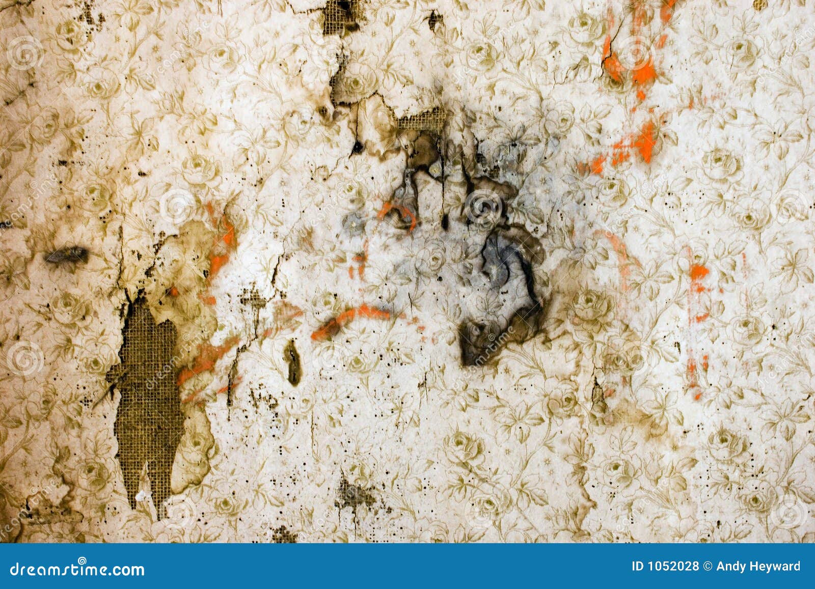 Oud Behang 02 stock foto. Image of document, doorstaan - 1052028