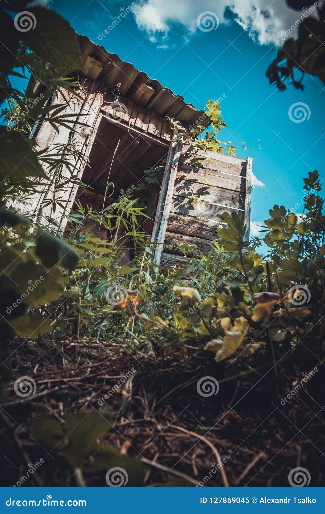 Oud Houten Rottend Toilet in Het Dorp Stock Afbeelding - Image of deur ...