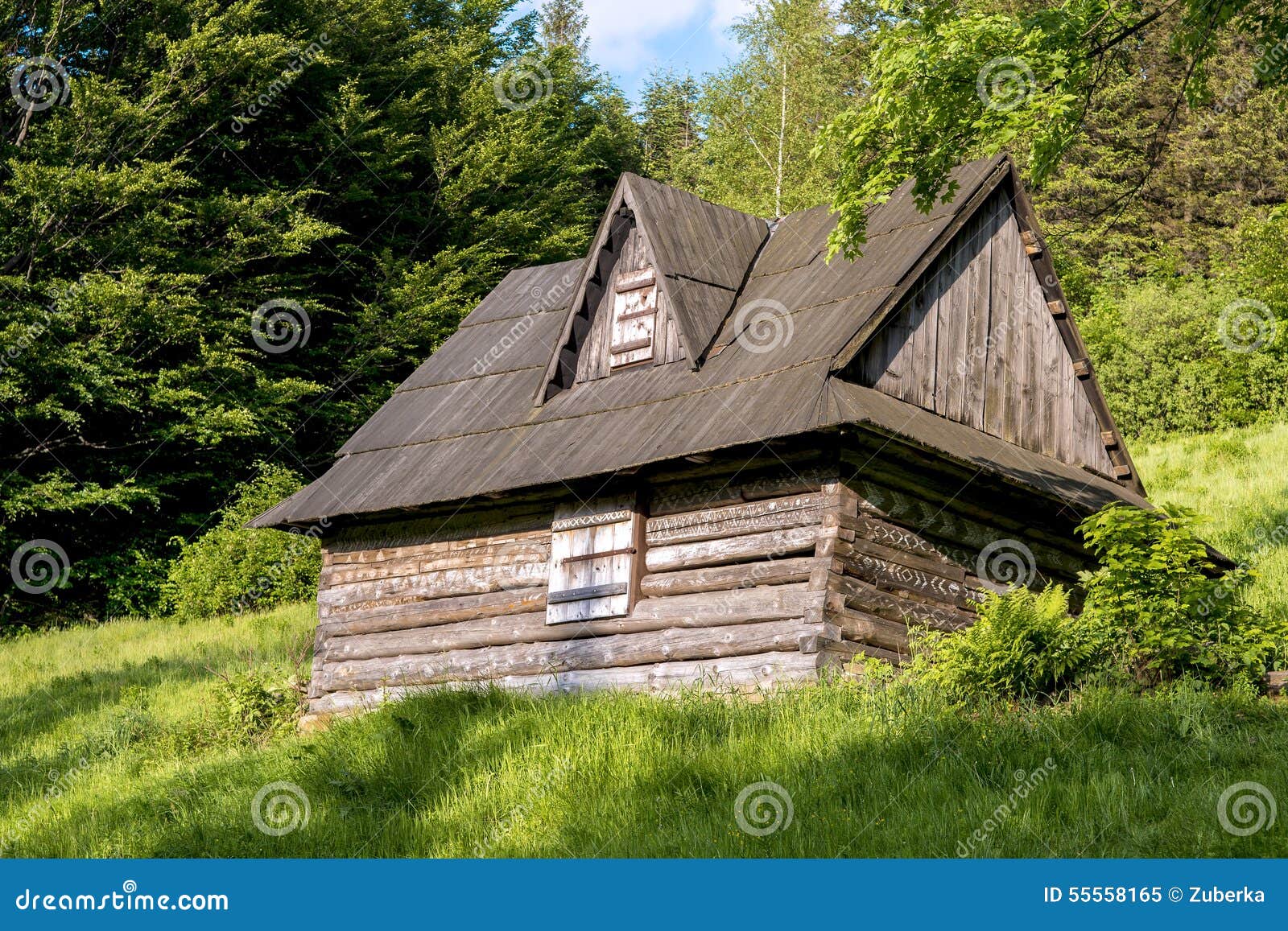 Oud huis in bos stock afbeelding. Image of gebouw, huis - 55558165