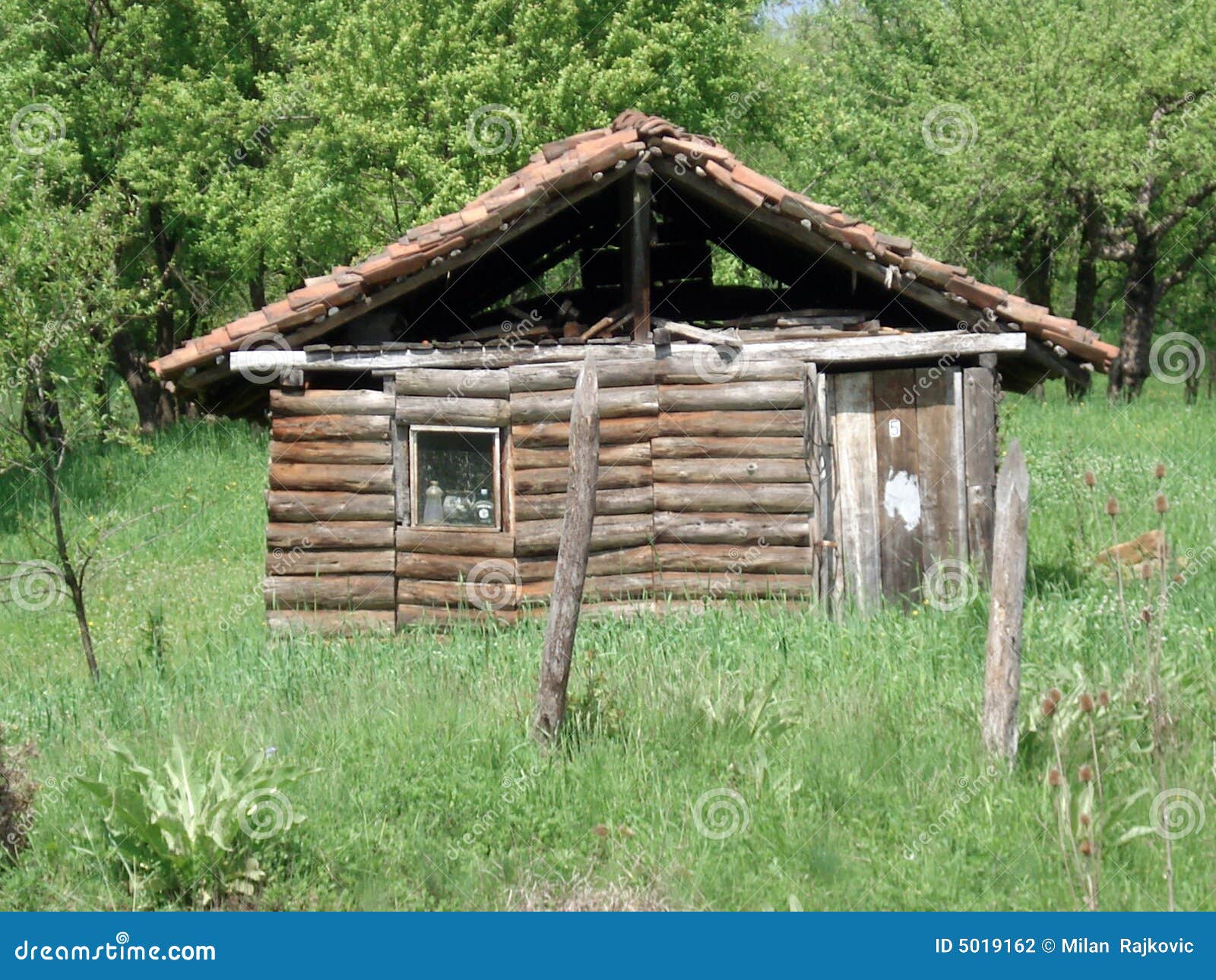 Oud Krot stock foto. Image of verlaat, autumn, boom, loods - 5019162