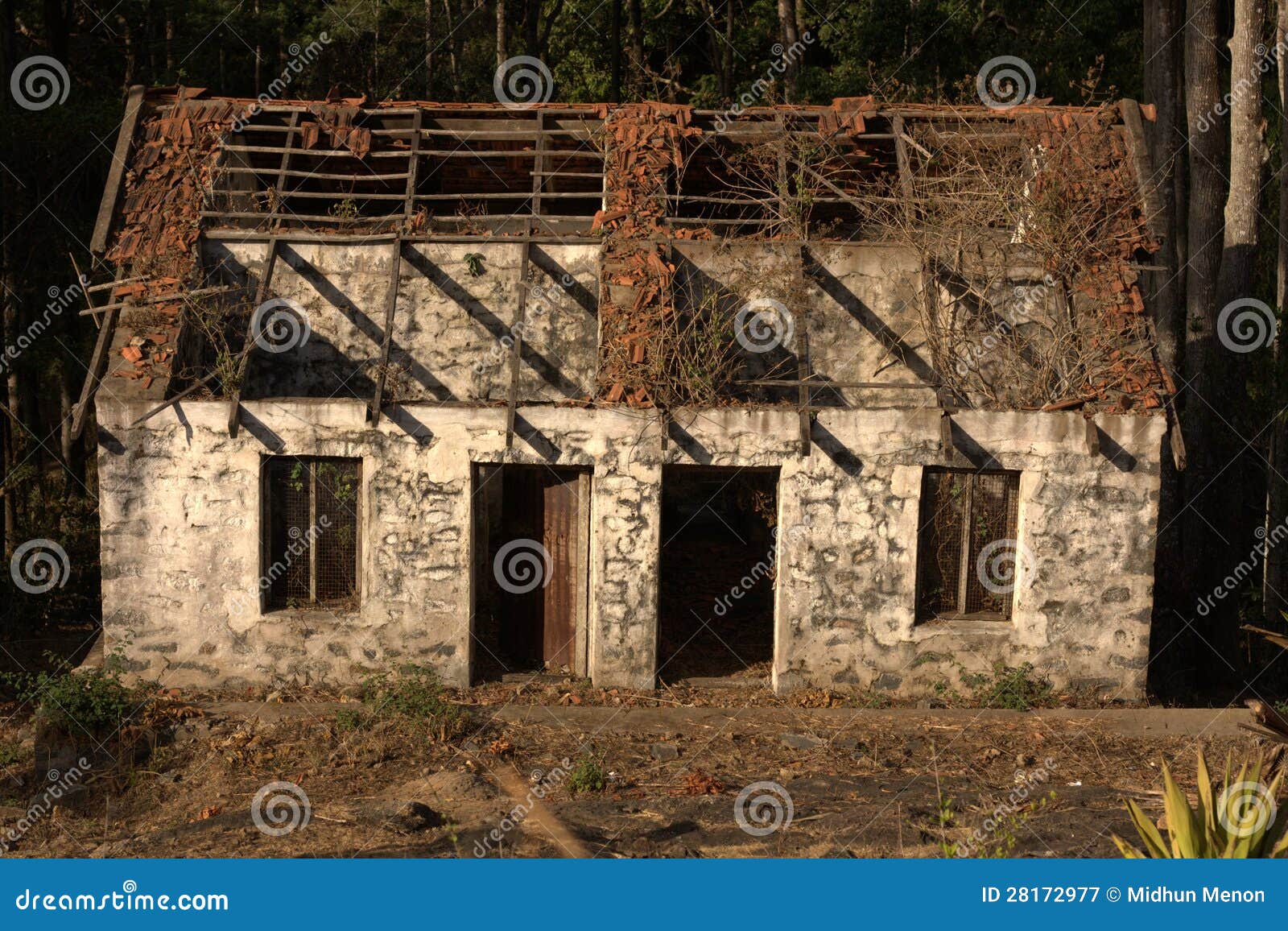 Oud Verlaten Huis in Bos stock afbeelding. Image of rugbossen - 28172977