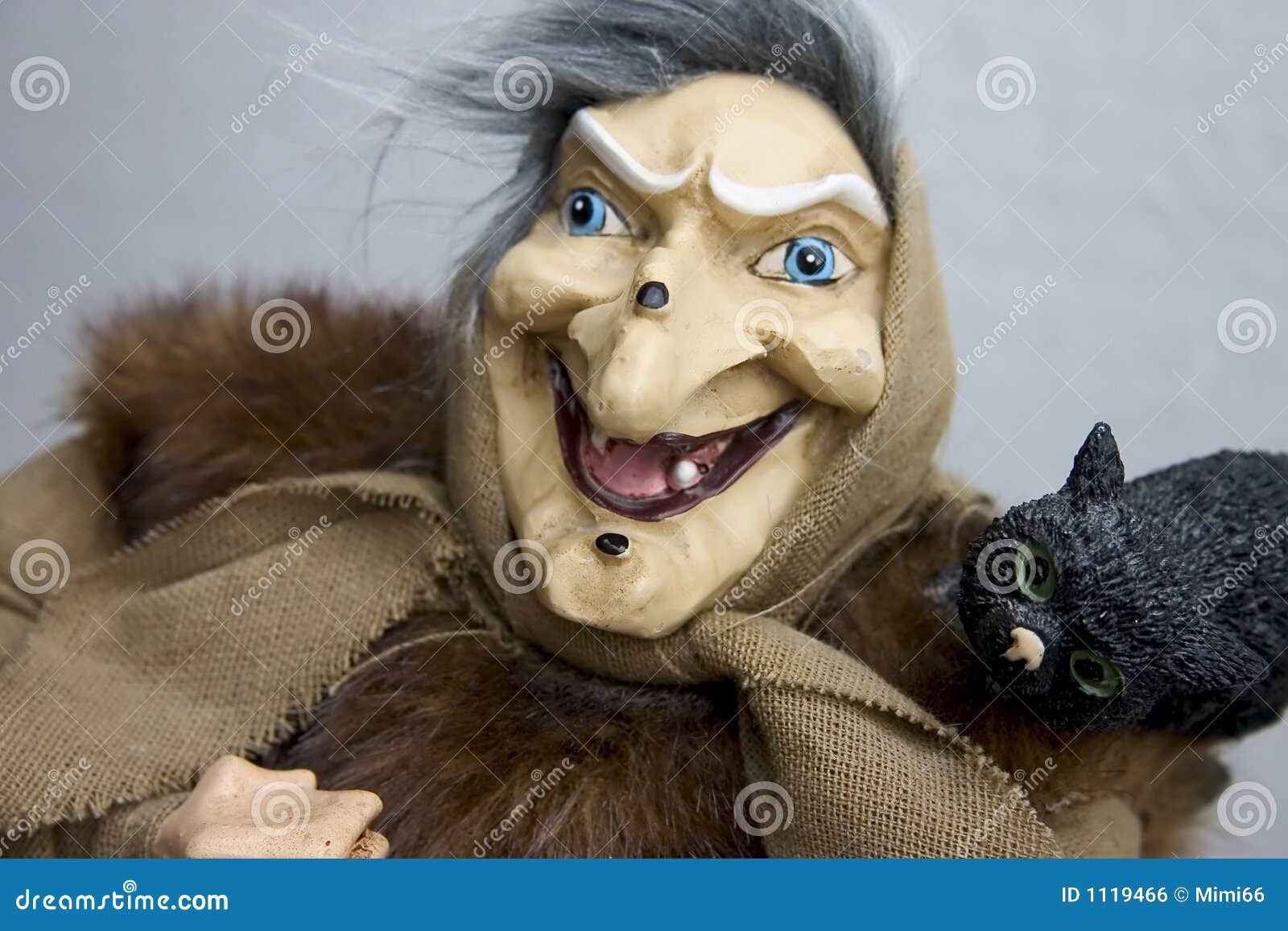 Oud wijf met kater stock foto. Image of duivels, gelach - 1119466