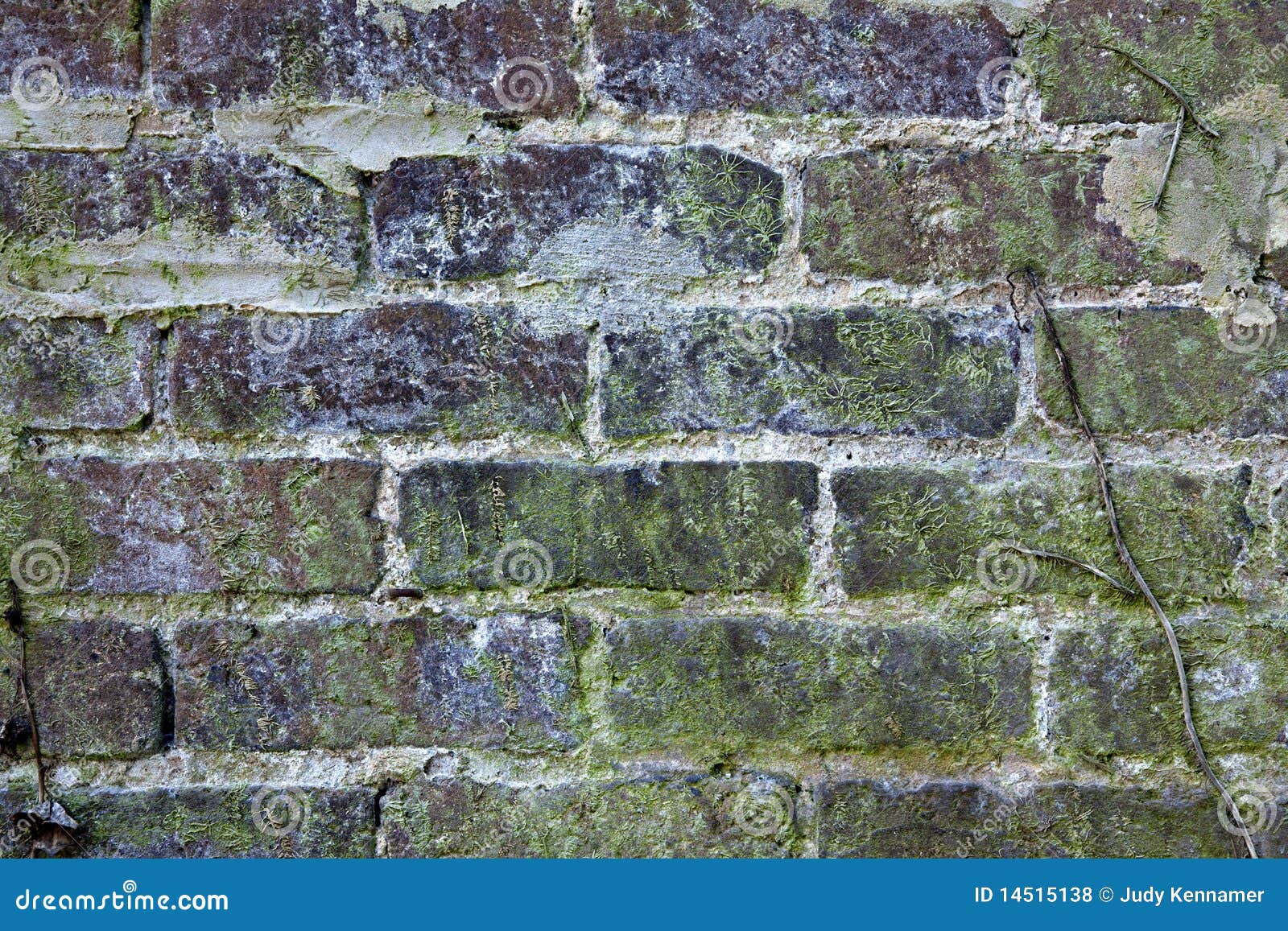 Oude Bakstenen Muur Met Vorm En Korstmossen Stock Foto - Image of ...