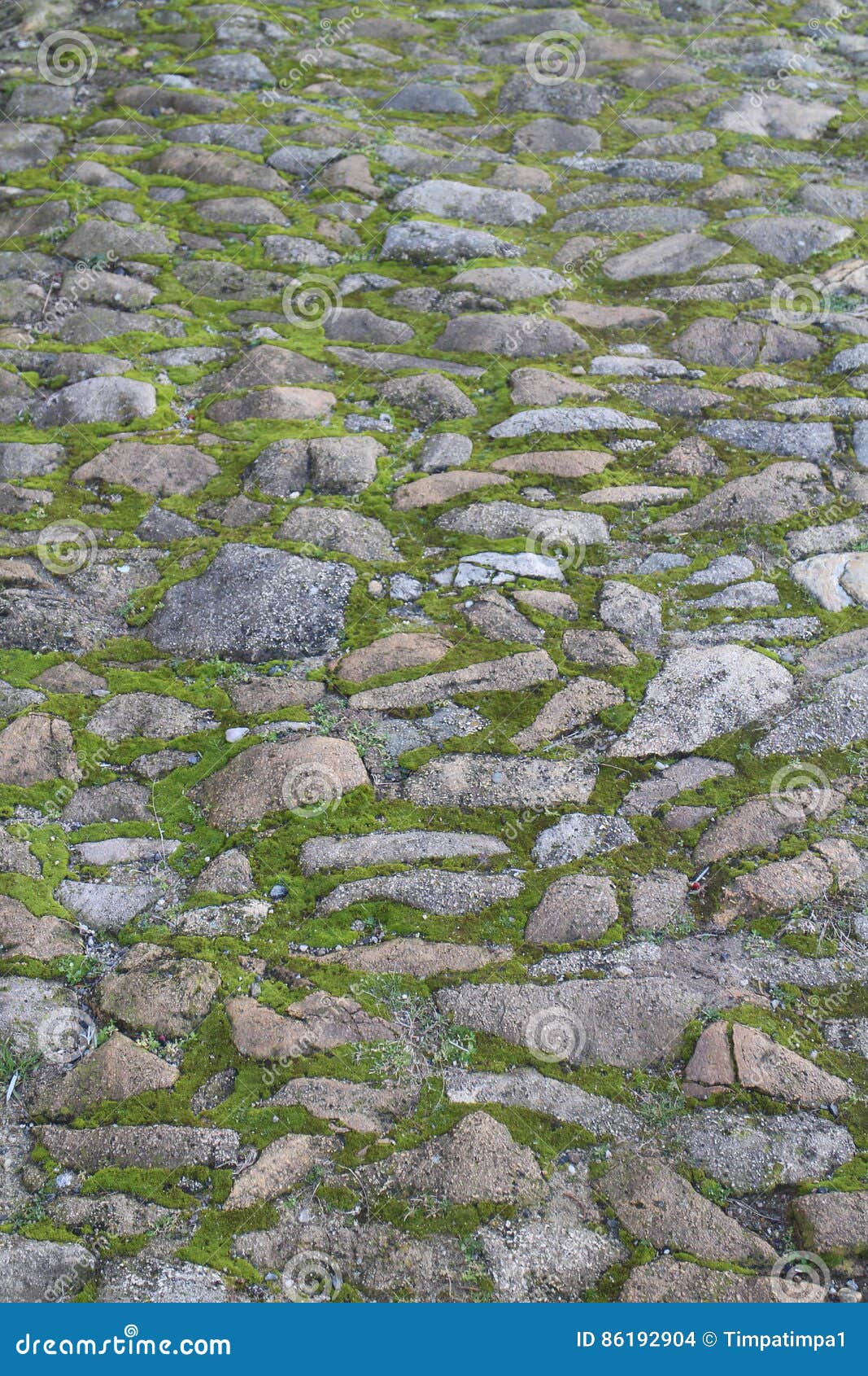 Oude Bestrating Met Mos in Roest Stock Foto - Image of betegelen ...