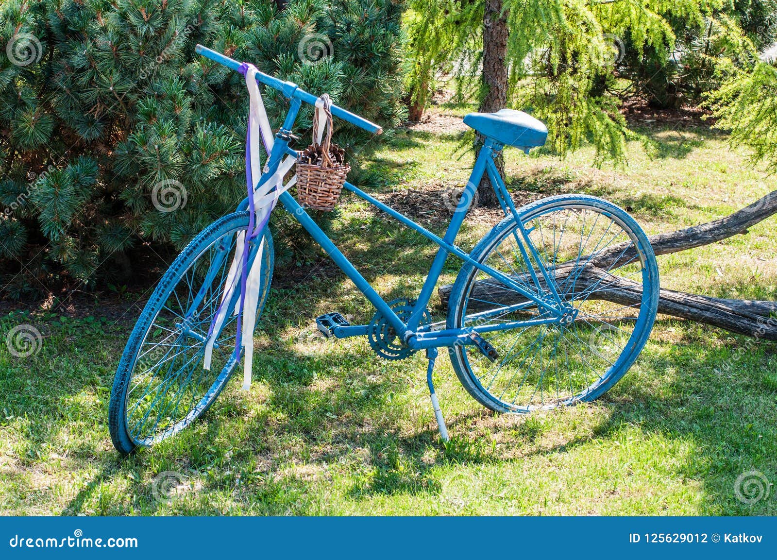 Oude Blauwe Fiets in De Tuin Stock Foto - Image of landschap, niemand ...