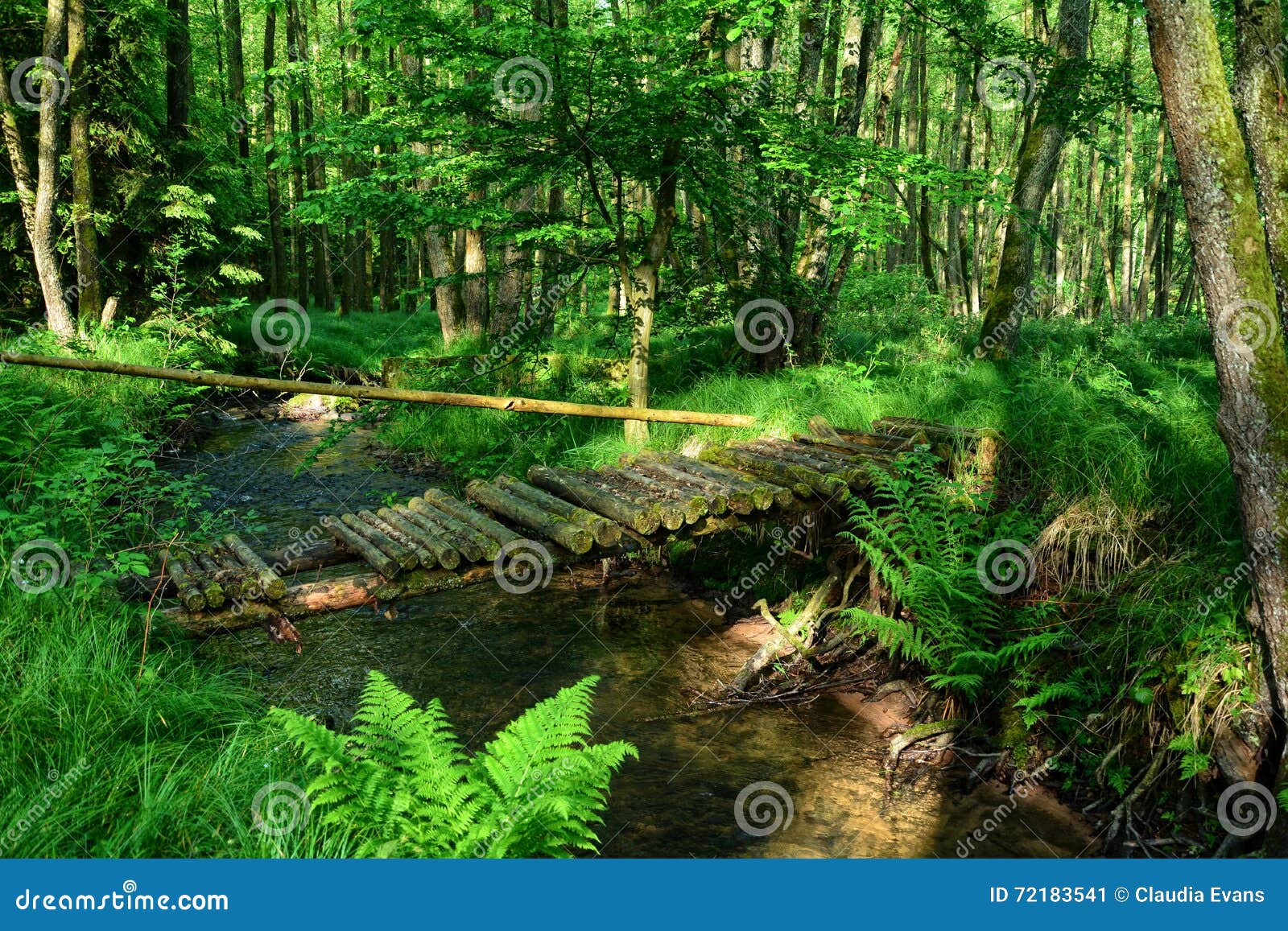Oude Brug Op Stroom in Het Hout Stock Afbeelding - Image of gras ...