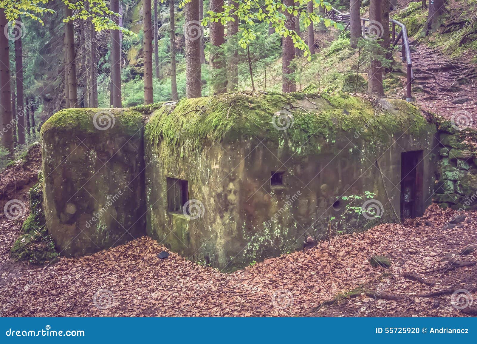 Oude Bunker Van WO.II-periode In Tsjechisch Bos Stock Foto - Afbeelding ...