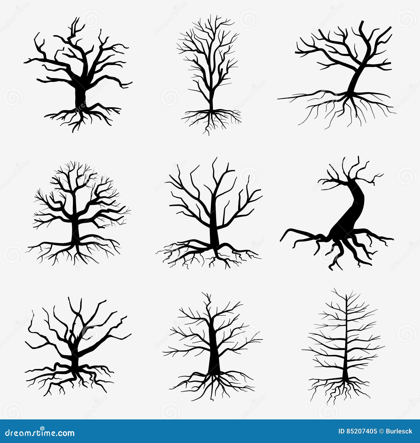 Oude Donkere Bomen Met Wortels Vector Dood Bos Vector Illustratie ...