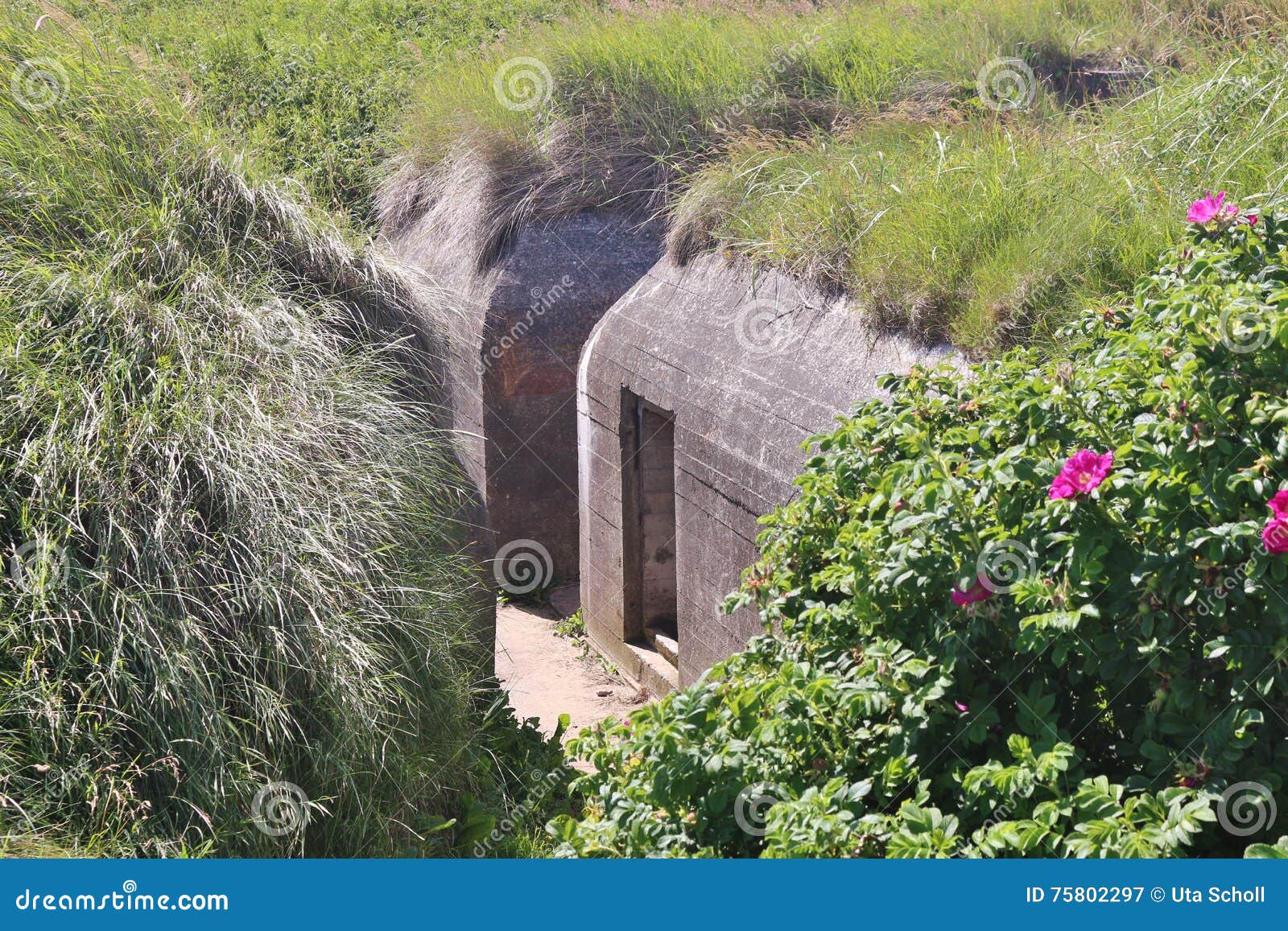 Oude Duitse Bunker Op De Kust Van Denemarken Stock Afbeelding - Image ...