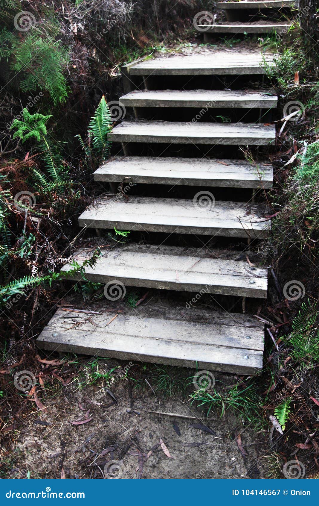 Oude En Doorstane Houten Trap in De Struik Stock Afbeelding - Image of ...