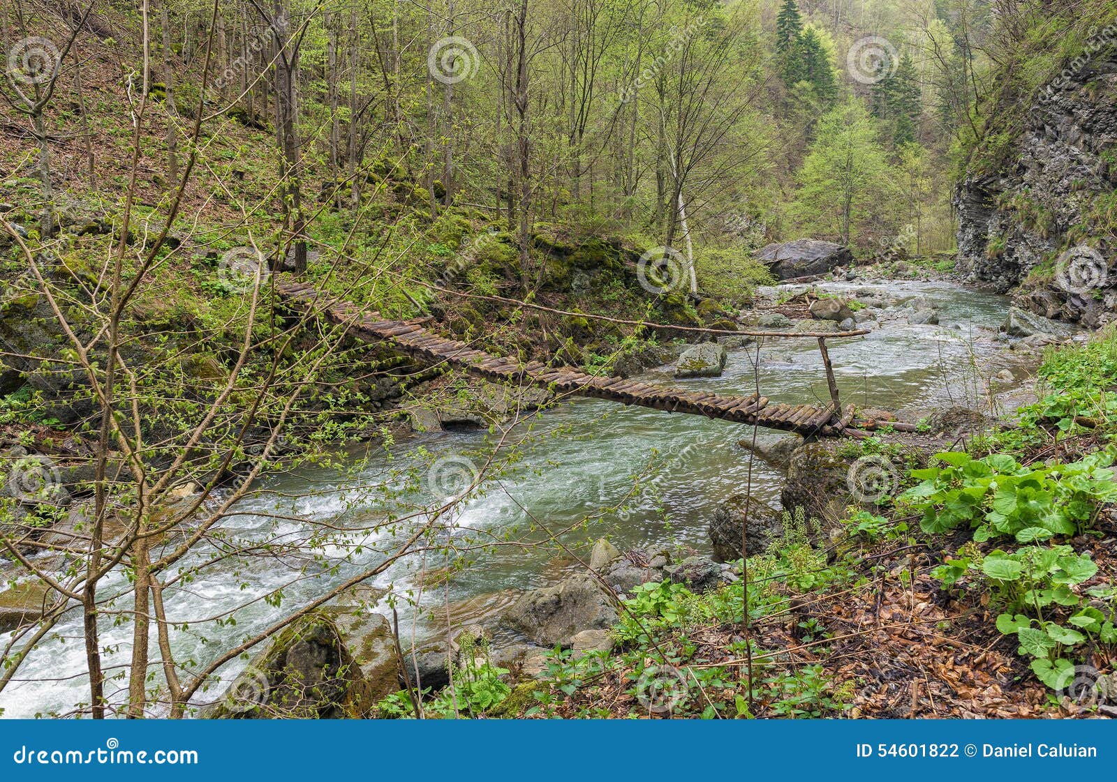 Oude Houten Brug Over Een Rivier in Het Bos Stock Foto - Image of ...