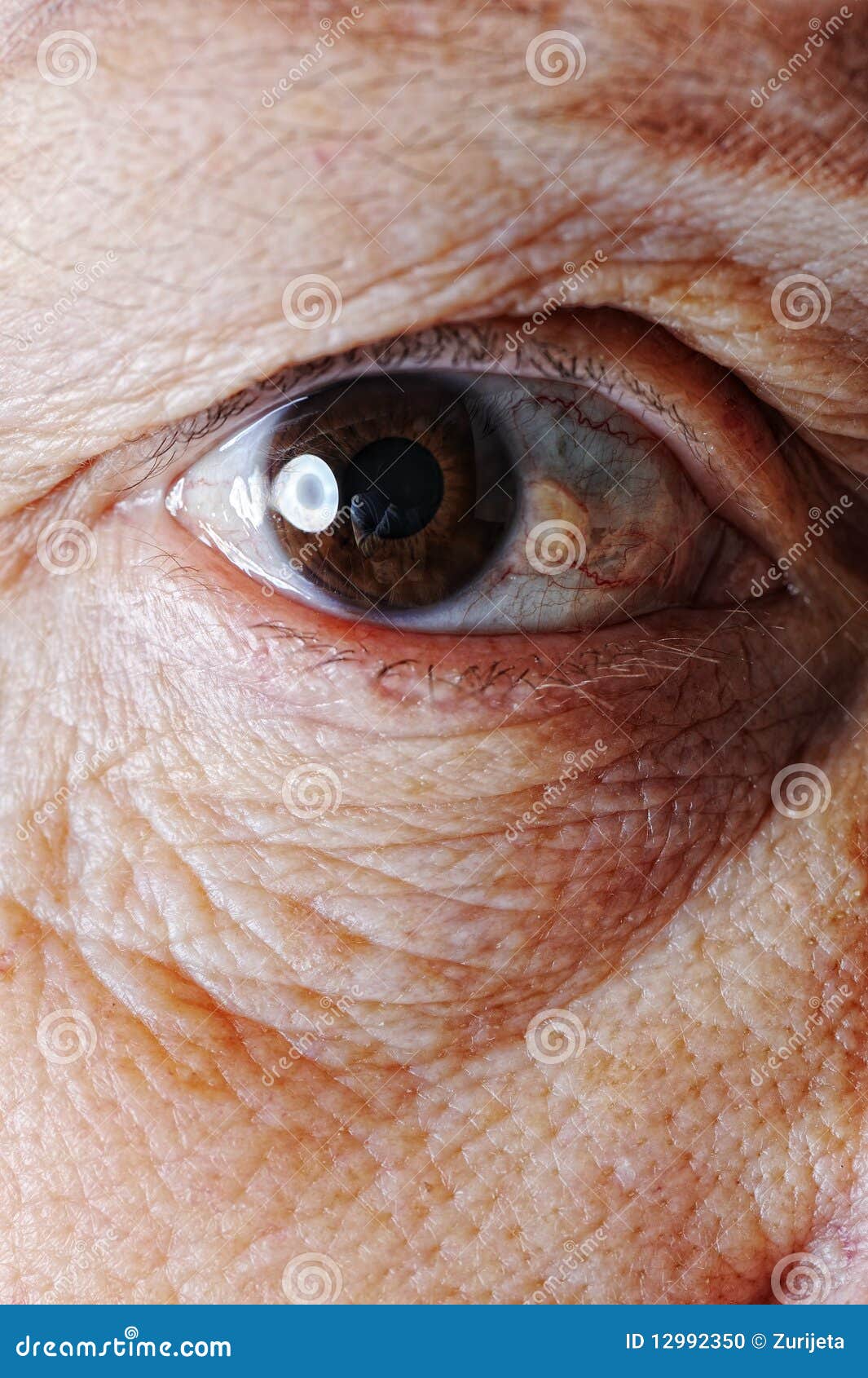 Oude huid, oog, close-up stock foto. Image of bejaarden - 12992350