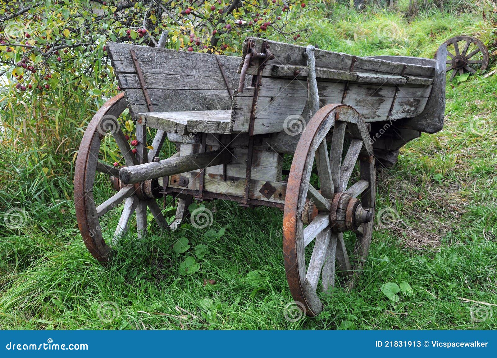 Oude Kar stock afbeelding. Image of gebroken, nave, vegetatie - 21831913