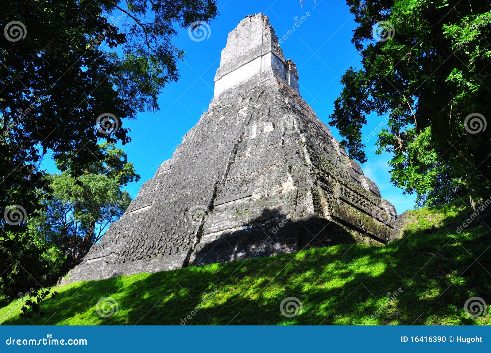 Oude Maya Van Tikal Tempel, Guatemala Stock Foto - Image of gras ...