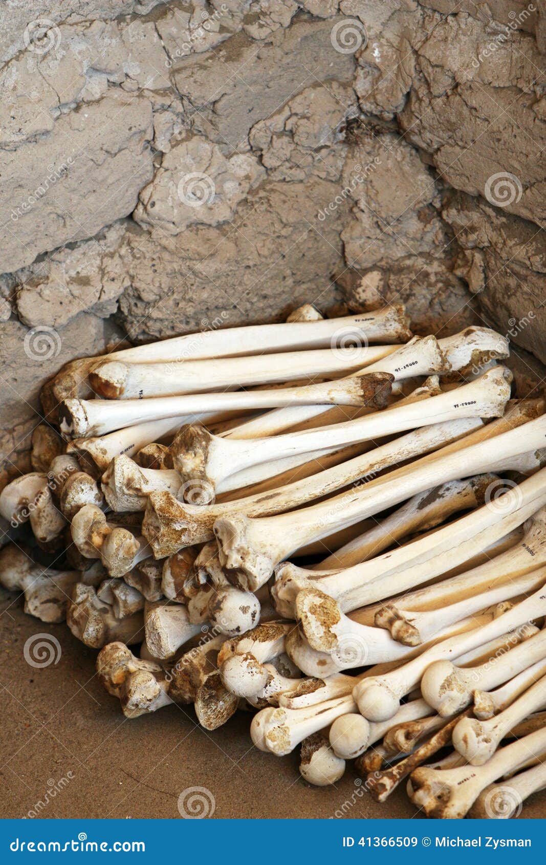 Oude Menselijke Beenderen stock afbeelding. Image of cultuur - 41366509