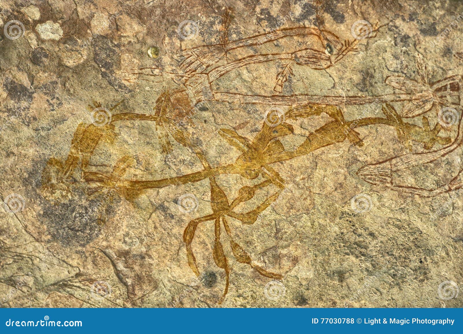 Oude Rotstekeningen, Australië Stock Foto - Image of genaturaliseerd ...