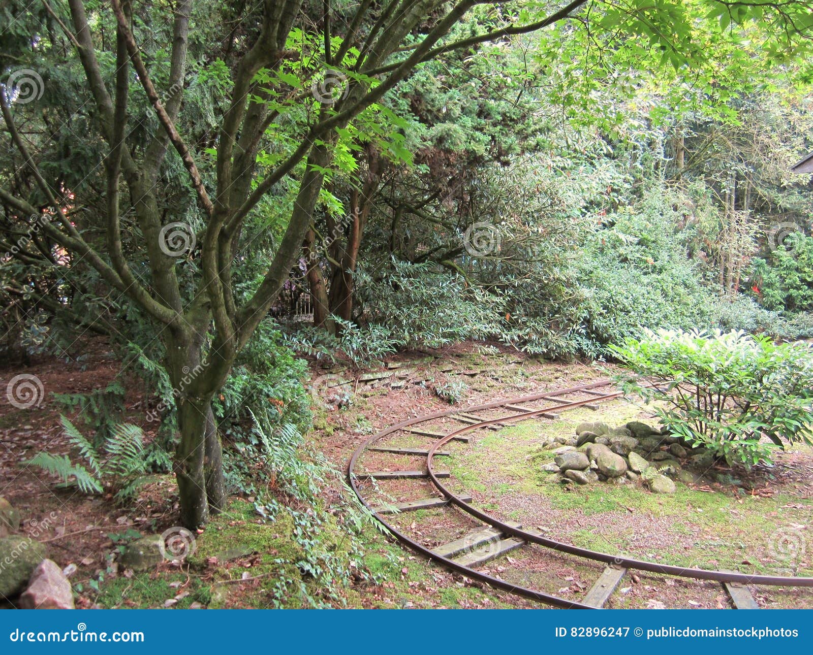 Oude Sporen In Het Bos Picture. Image: 82896247