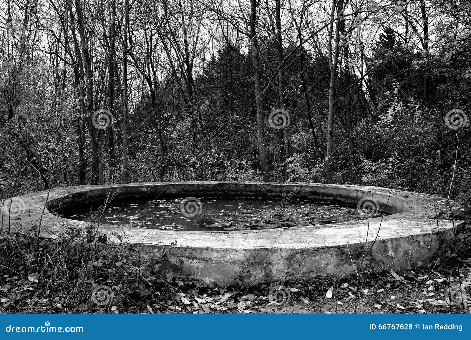 Oude Verlaten En Vergeten Vijver Stock Foto - Image of nave, vuil: 66767628