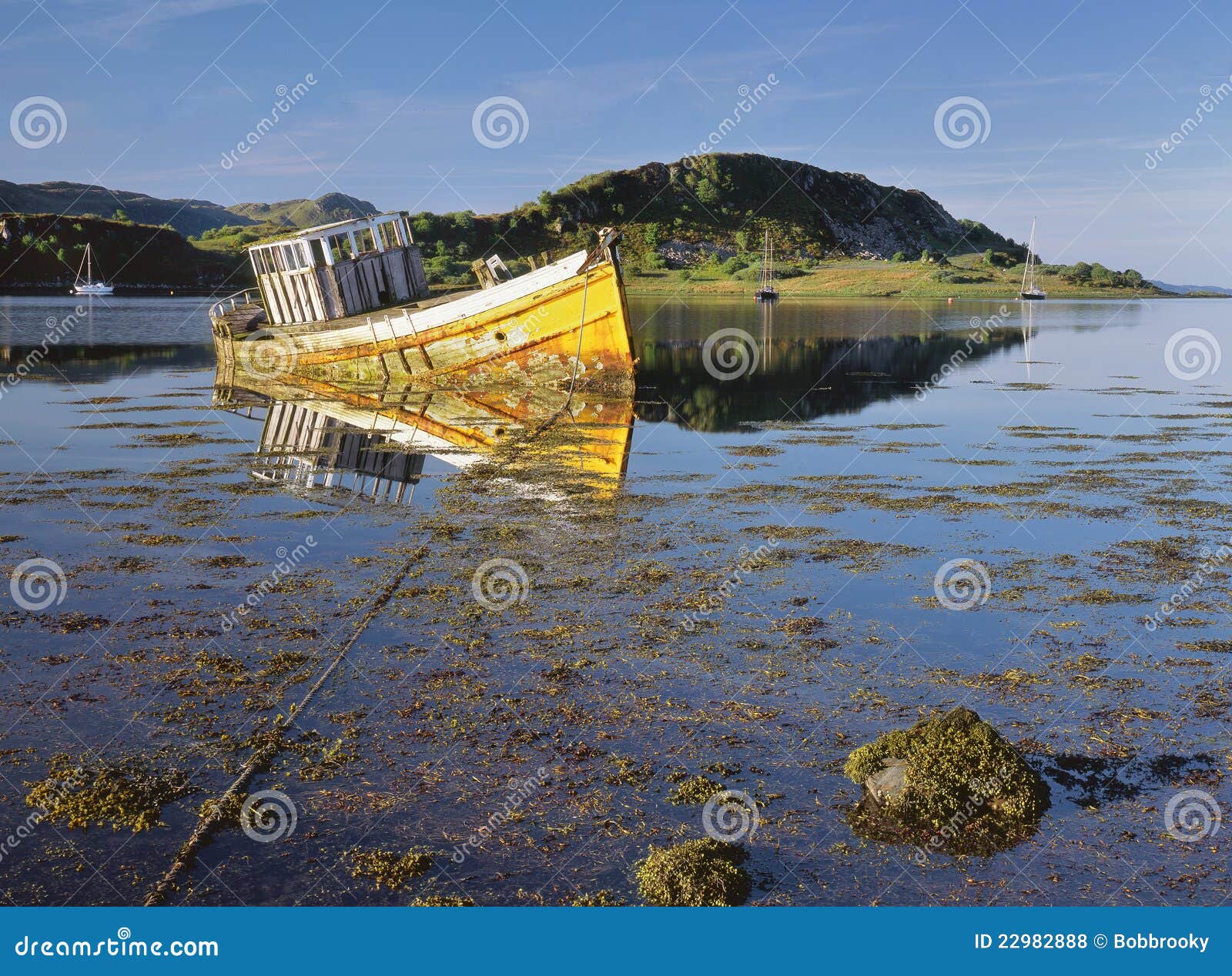 Our Atalanta, Loch Craignish, Scotland Stock Photo - Image of orange ...