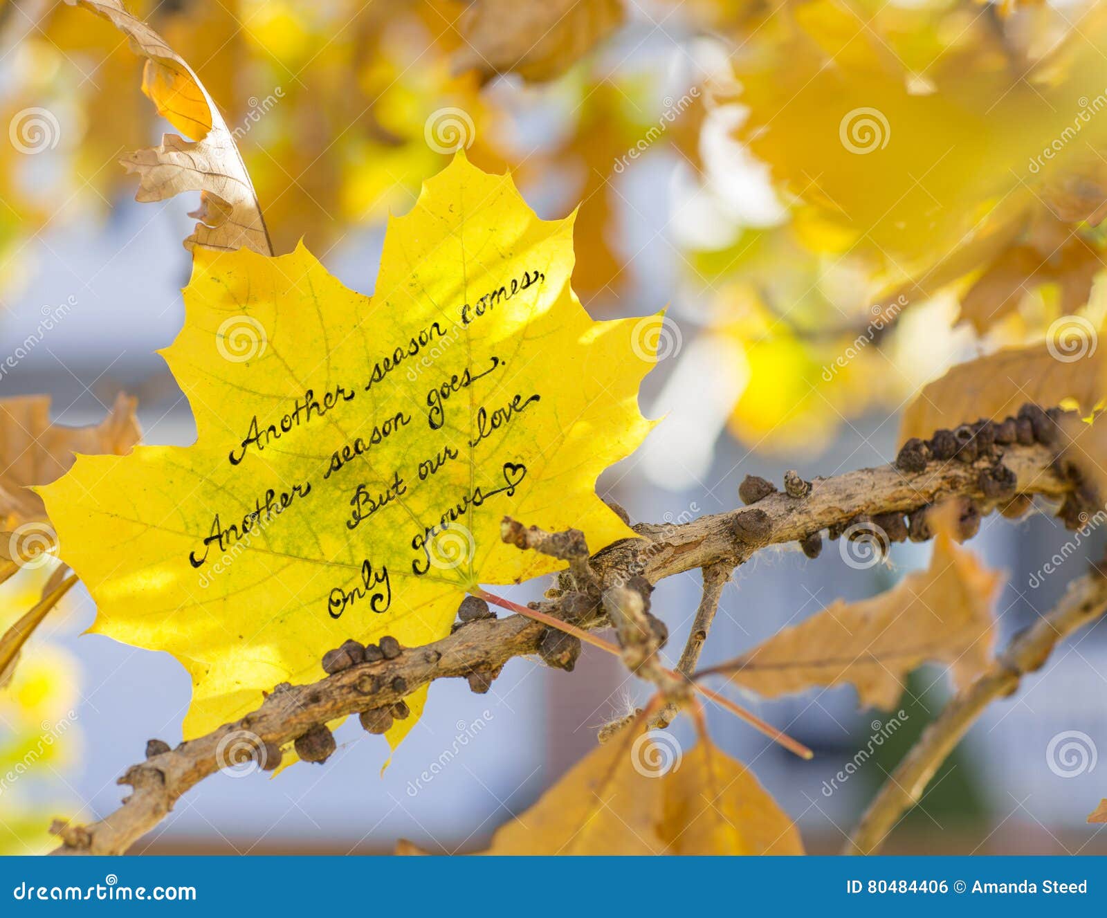 Our Love Grows Poem stock photo. Image of written, landscape - 80484406