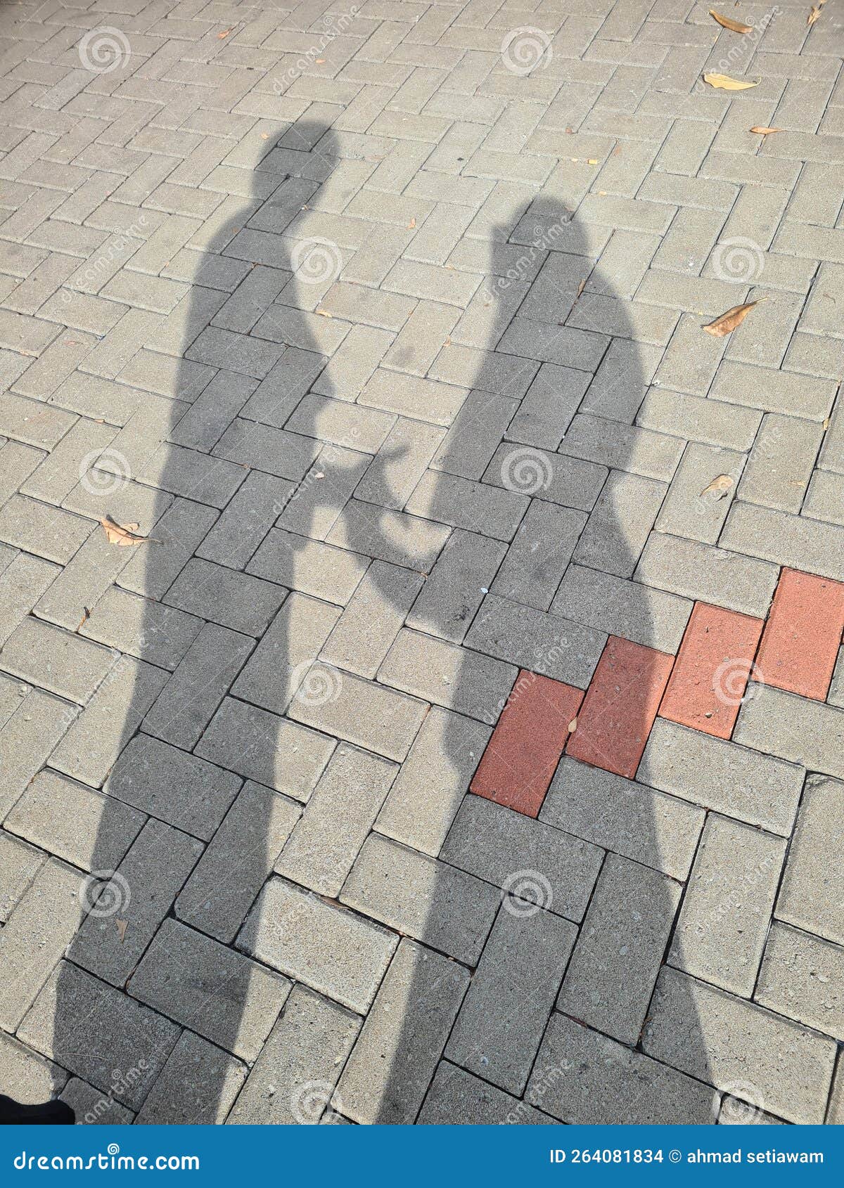 Our Shadow are Seen on Earth Stock Photo - Image of earth, shadow ...