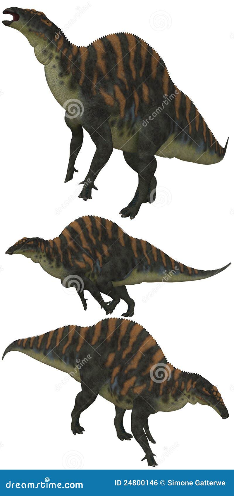 Ouranosaurus stock illustration. Illustration of isolated - 24800146