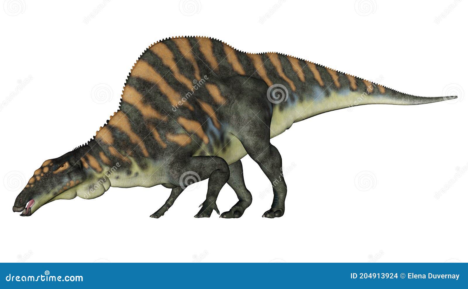 Ouranosaurus Dinosaur - 3D Render Stock Illustration - Illustration of ...