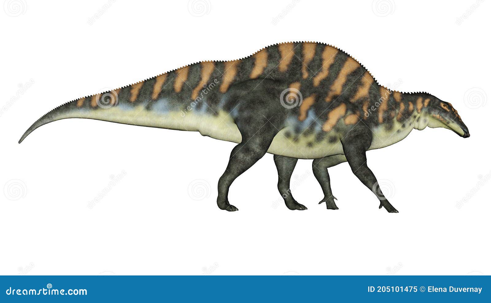 Ouranosaurus Dinosaur - 3D Render Stock Illustration - Illustration of ...