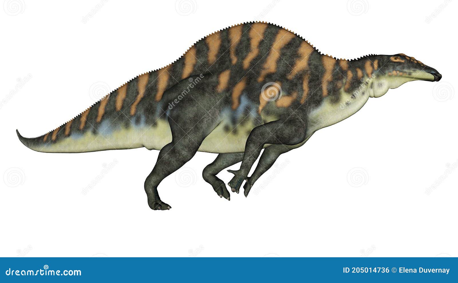 Ouranosaurus Size